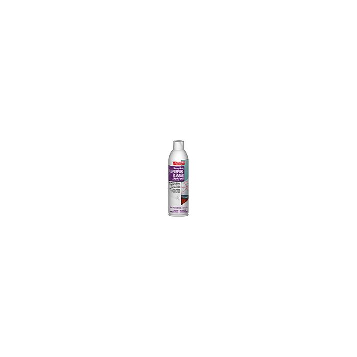 Champion Sprayon 5161 Heavy-Duty All-Purpose Foam Cleaner - 18 oz. - 1 ...